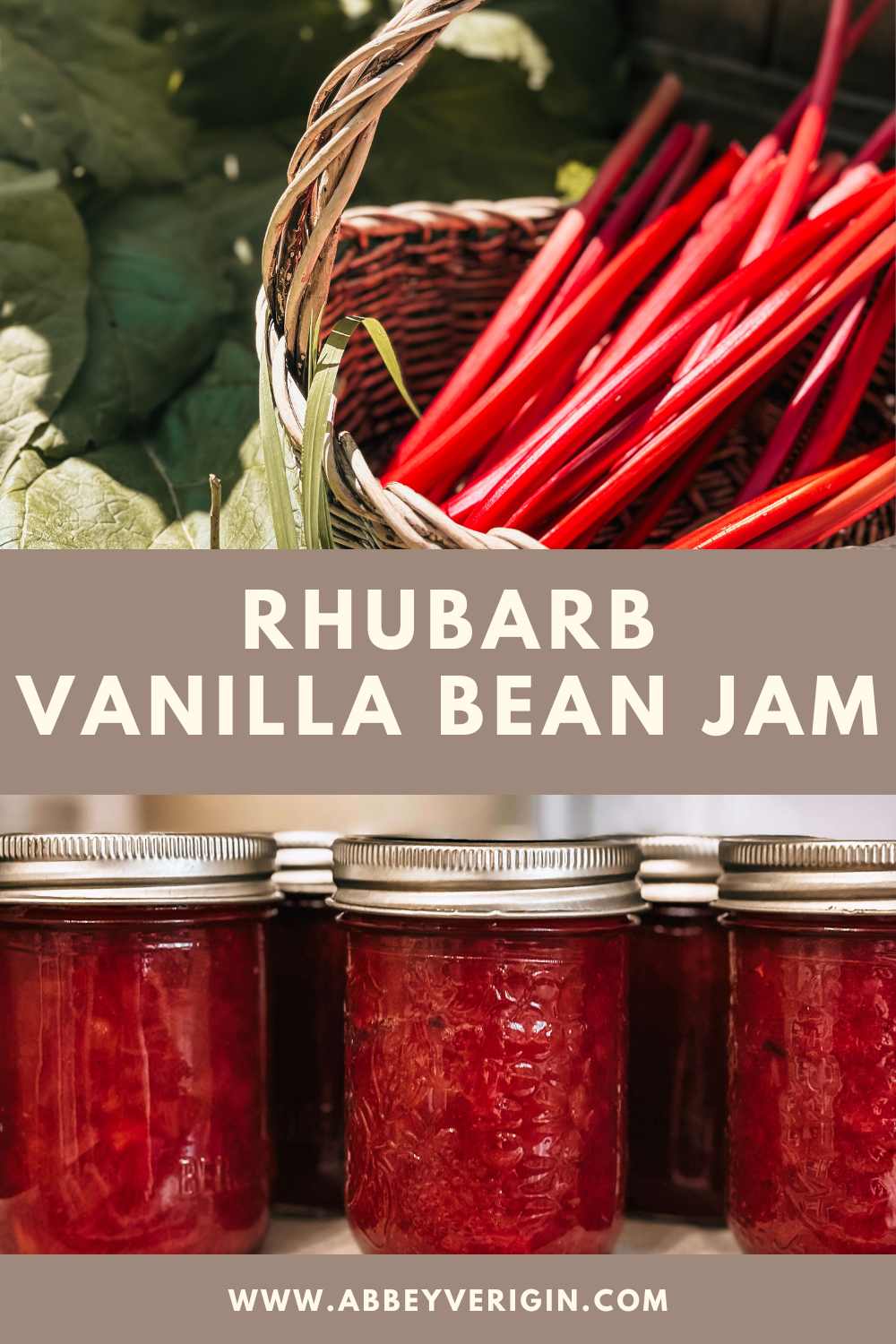 Rhubarb Vanilla Bean Jam - Abbey Verigin
